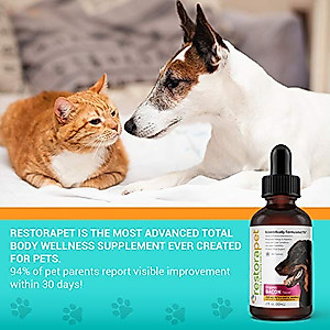 RestoraPet 1-Pack Dog & Cat Bacon Liquid Multivitamin | Dog Arthritis Pain Relief | Hip & Joint Vitamins for Dogs - Anti Inflammatory Supplement for Dogs & Cats | Organic & Non-GMO, Vet Approved