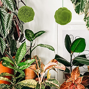 SEWACC 2pcs Green Artificial Balls Decorative Rocks Topiary Ball Green Covered Stones Vase Bowl Filler for Floral Arrangements Wedding Party Table Decor