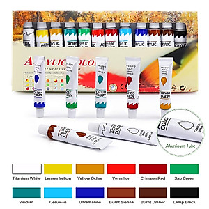 Acrylic Painting Set with 1 Wooden Easel 3 Canvas Panels30 pcs Nylon Hair Brushes 3 PCS Paint Plates and 2 PCS of 12ml Acrylic Paint in 12 Colors for Acrylic Painting Artist Professional Kit