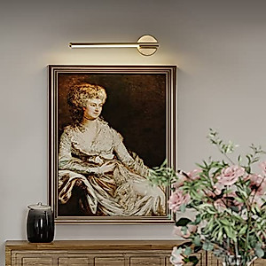 JOOSENLUX Modern LED Picture Lights Gold 19.3" 3000K Long Brass Mid Century Adjustable Linear Gold Wall Sconce Vertically Led Bathroom Vanity Light Swing Arm Left and Down 110V 3000K