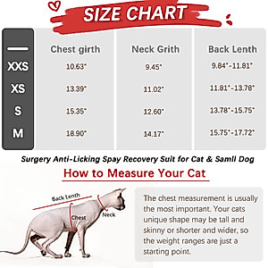 DENTRUN Cat Surgery Anti-Licking Spay Recovery Suit, Cat Small Dog Cone E-Collar Alternative Recovery Shirt After Surgery for Male Female Abdominal Wounds Bandages, Pet Surgical Recovery Snuggly Suit