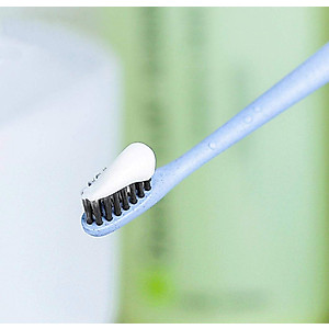 TeenFighter 10Pcs Family Pack Eco-Friendly Small Head Wheat Straw Toothbrush, Bamboo Charcoal Soft Bristles Toothbrush for Kids and Adults, Toothbrushes for Sensitive Gums and Teeth, Travel Carry