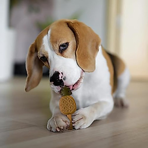 Pup Ice- Ready to Freeze at Home Dog Treats-Edible Chews for Small Breed Dogs & Puppies with Real Chicken to Keep Your Pup Cool Year Round, Fruity Lollies Pineapple Flavor, 3pcs