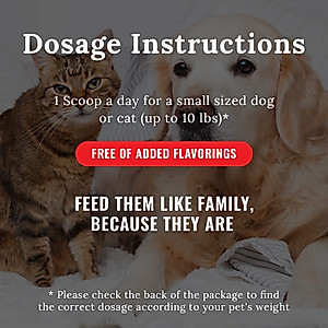 Mojo Joint Supplement for Dogs and Cats, Feline + Canine Food Grade Hip & Joint Supplement with Glucosamine and Chondroitin, Dog & Cat Mobility Supplement (Small, 8 oz)