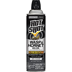Hot Shot Wasp & Hornet Killer Spray, For Insects Eliminates The Nest, Sprays Up Tp 27 Feet, 14 fl Ounce