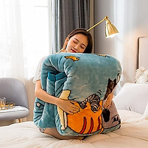 Korean Mink Blanket Plush Blanket Queen Size 80" x 90",8 Pounds Heavy Fleece Blanket Silky Soft Warm 2 Ply Cat Family Blue Throw A&B Printed Raschel Bed Blanket