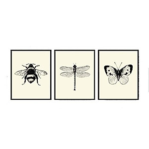 Bee Dragonfly Butterfly Wall Art Prints set of 3 Prints 8x10 - Unframed - Beautiful Black and White Illustration Ivory Natural Background Home Room Decor