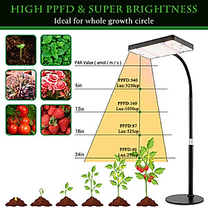 GroCruiser Table Top Grow Light 200W, Desk Grow Lights for Indoor Plants, UV-IR Full Spectrum Plant Growing Lamp for Houseplant with On/Off Switch, Daisy Chain Function, Height Adjustable
