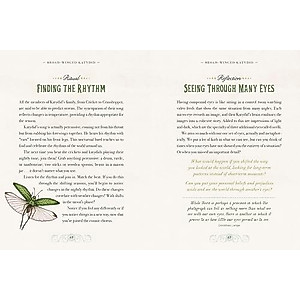 The Illustrated Bestiary: Guidance and Rituals from 36 Inspiring Animals (Wild Wisdom)