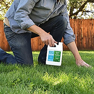 Superior Nitrogen & Potash 15-0-15 NPK- Lawn Food Quality Liquid Fertilizer - Concentrated - Any Grass Type- Simple Lawn Solutions Green, Growth - Lawn and Garden Rates - Phosphorus-Free (1 Quart)