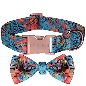 LOIIHEII Mothers' Day Dog Leash Match Dog Collar,Solid and Durable Dog Leash with Red Flowers,Leashes for Dog Training & Behavior aids for Small to Medium Dogs(S)