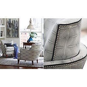 Capture Carpet Total Care Kit 100 - Home Couch and Upholstery, Car Rug, Dogs & Cats Pet Carpet Cleaner Solution - Strength Odor Eliminator, Stains Spot Remover, Non Liquid & No Harsh Chemical