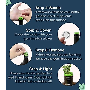Herb Garden Kit Indoor - Grow Fresh Herbs Plants Hydroponically Indoors with this unique Window Garden Kit - Bottle Stopper Gardening Kit - Kitchen Windowsill Planter Grow Live Herbs At Home from Seed
