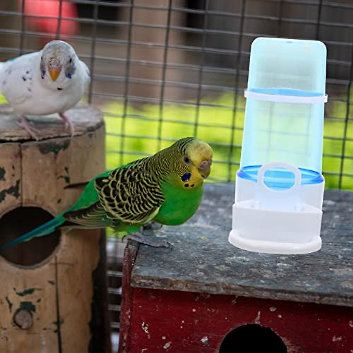 PATKAW Pigeon Supplies 2 Pcs Automatic Bird Feeders Parrot Water Dispenser Hanging Food Water Bowl Bottle for Pet Parrot Budgie Lovebirds Cockatiel Cage Supplies Bird Water Dispenser