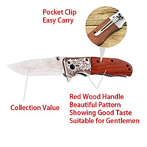 Labstandard Pocket Folding Knife with 3.5”Stainless Steel blade and wood handle -Folding hunting camping Knife with liner-lock and pocket clip