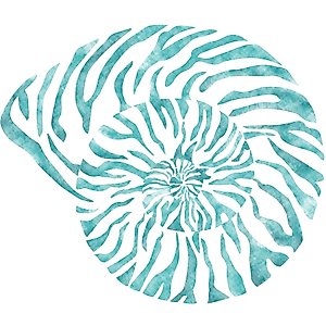 WallPops DWPK2176 Nautilus Shell Wall Art Kit, Green
