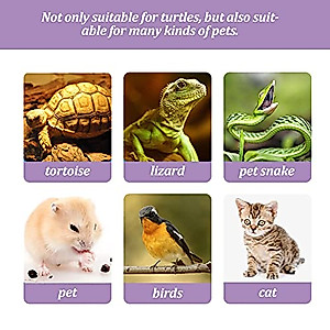 MINYULUA Reptile Automatic Water Dispenser Amphibians Water Bowl Terrarium Waterfall for Tortoise Lizard Chameleon Turtle Frog Spider Gecko Pet Supplies