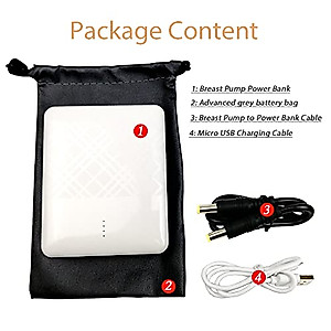 Smarkey 12v Portable Breast Pump Battery and Charger for S1 S2 Medela Pump-in-Style and Lactina Hygeia EnJoye (Easy for Outdoor and Travelling)