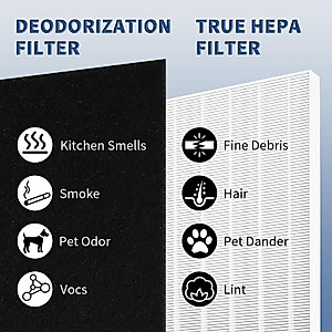 4 Pack 115115 HEPA Replacement Filter A Size 21 Compatible with Winix PlasmaWave Air Purifier C535 5300 5300-2 5500 5500-2 6300 6300-2 P300 AM90 9000 5000 5000B C909 9800 by Funmit