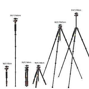 K&F Concept 62-inch Carbon Fiber Camera Tripod,Portable Compact Tripods with Detachable Monopod,360° Metal Ball Head 15KG/33lbs Load Capacity with Quick Release Plate for Travel and Work A255C2+BH-35L