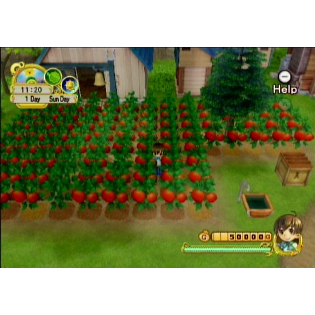 Harvest Moon: Tree of Tranquility - Nintendo Wii