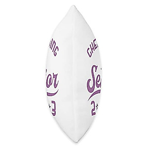 Cheer Senior Night Gifts and Apparel Cheerleading Senior Graduation Cheer Class of 2023 Throw Pillow, 16x16, Multicolor