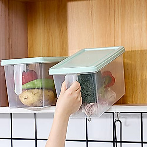 PENGKE 4 Pack Fridge Organizer,Plastic Food Storage Container with Lid and Handle,Fruit Refrigerator Organizer Bins for Kitchen Fridge Desk Cabinet Food Storage to Keep Fresh Furit Eggs Vegetables,5L