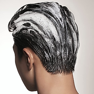 AMOS PROFESSIONAL Pure Smart Shampoo [Fresh – For Oily Scalp] 17.6oz (500g) | Sebum Care & Scalp Soothing | Korean Hair Salon Brand