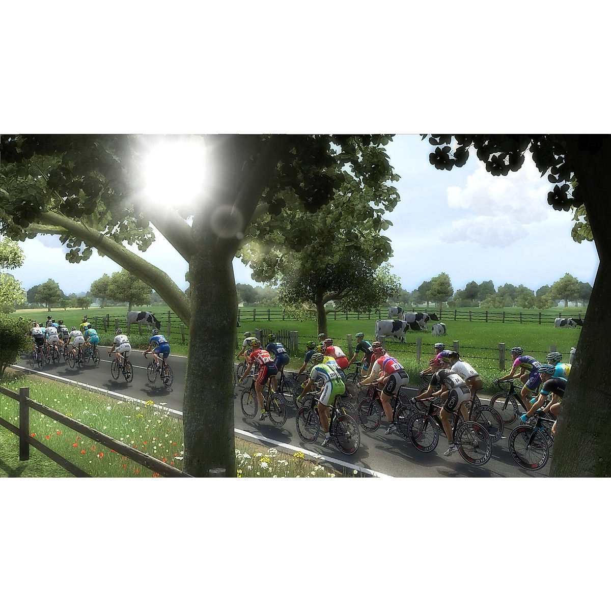 Tour De France 2014 (PS4)