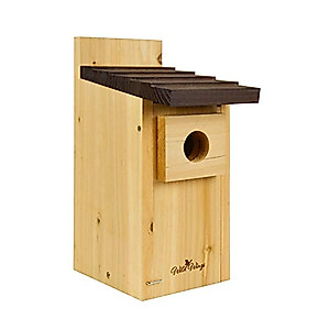 Wild Wings WWCH3 Cedar Blue Bird Box House