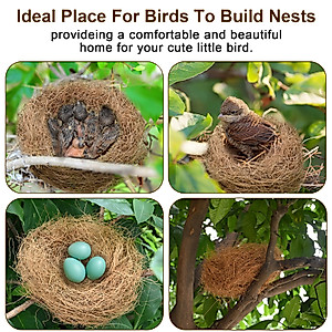 Sukh 110G Coconut Fiber for Bird Nest - Canary Nesting Material Coconut Bird Nest Finch Coconut Fiber Loose Bedding Substrate for Laying Eggs,Resting Materials for Birds, Hummingbird Parakeet