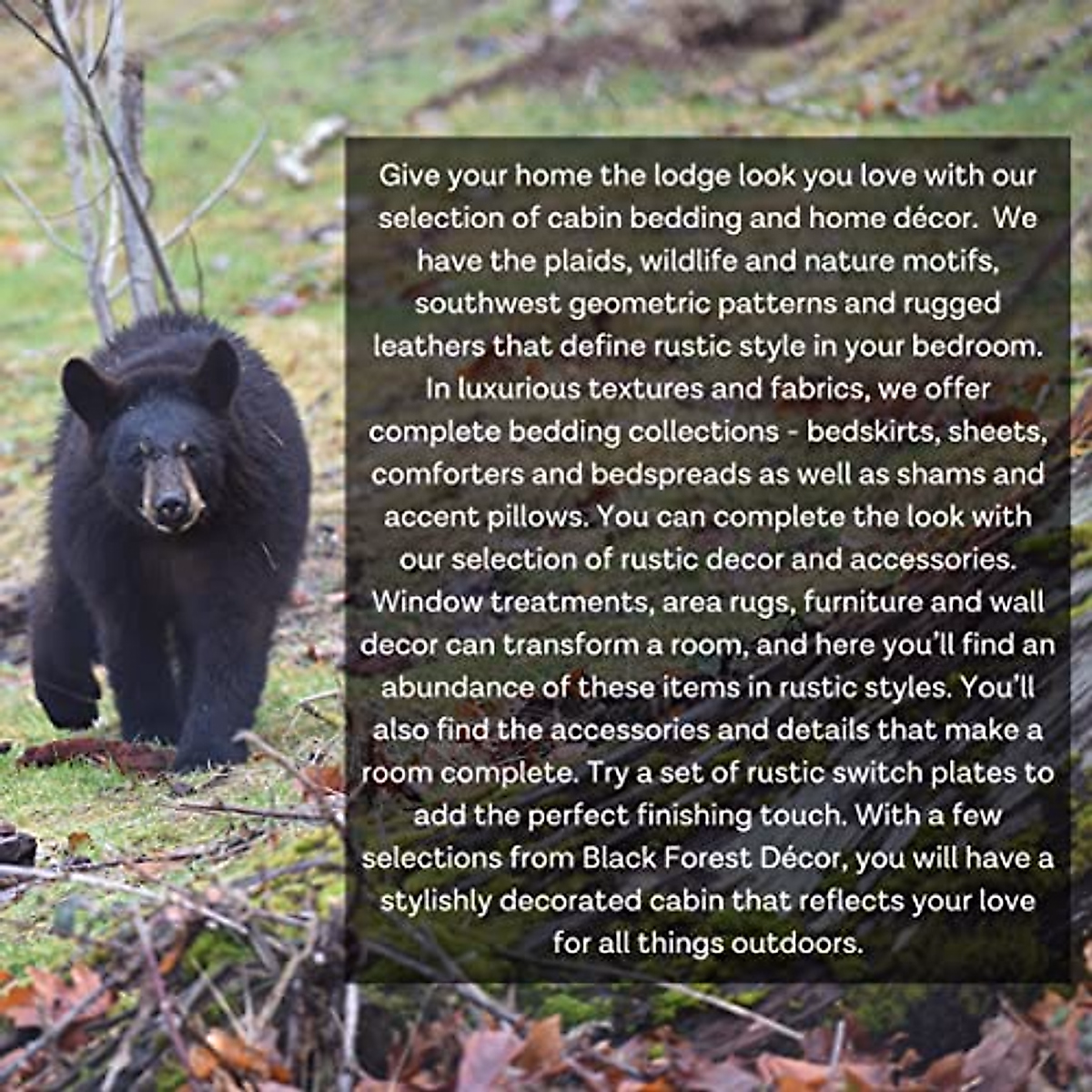 Black Bear Cast Iron Double Wall Hook