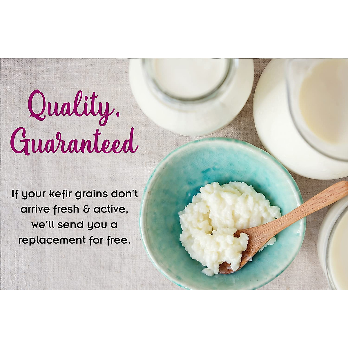 Fusion Teas 1 TBSP Organic Milk Kefir Grains and ebook “Milk Kefir Unleashed by Thomas Egbert” - Fresh Live Active Probiotic Starter Cultures