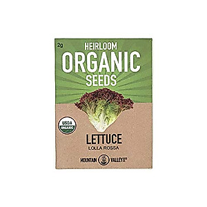 Leaf Lettuce Garden Seeds - Lollo Rosso - 2 Gram Packet, Non-GMO Vegetable Leafy Green Gardening Seeds