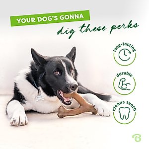 Benebone Wishbone Durable Dog Chew Toy for Aggressive Chewers, Real Peanut, Made in USA, Small, for Any breed