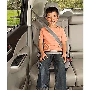 Cosco Topside Booster Car Seat, Extra-Plush pad, Organic Waves