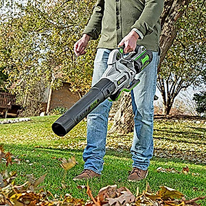 EGO Power+ LB6500 180 MPH 650 CFM 56V Lithium-Ion Cordless Electric Variable-Speed Blower (Tool Only- Battery and Charger NOT Included)