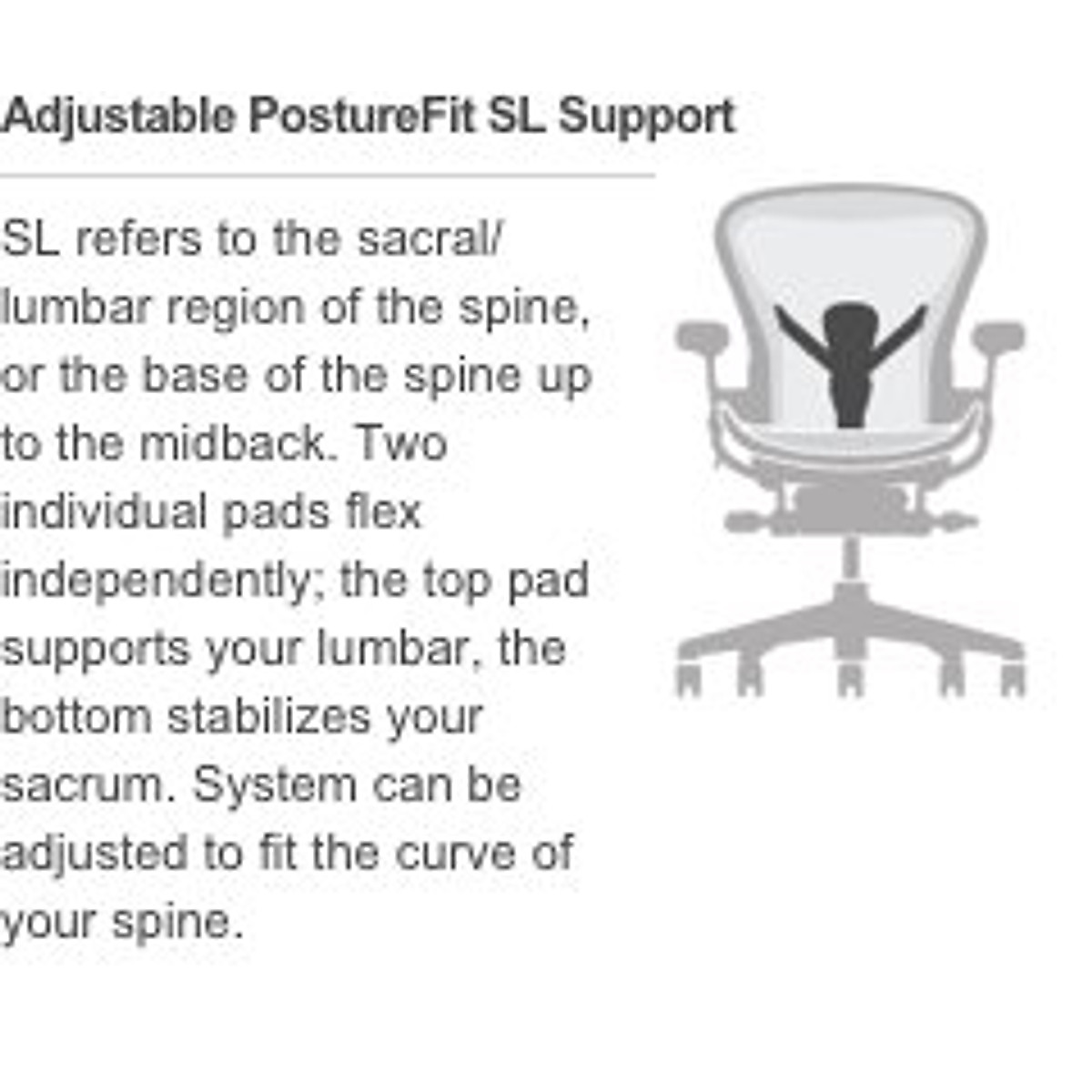 Herman Miller Aeron Ergonomic Office Chair with Tilt Limiter and Seat Angle | Adjustable PostureFit SL, Arms, and Carpet Casters | Medium Size B with Carbon Finish