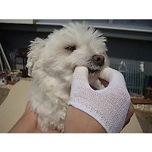 MIND UP Dog Mouth Care Yubi Toothbrush, Battery Powered, White, 0.4 oz