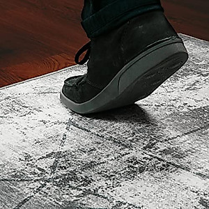 ODIKA 32x20 in Grey Dornier Entryway Rug, Doormat, Stain Resist, Patterned, Indoor