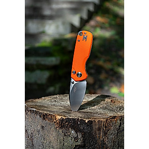 Firebird GANZO FH925-BK Small Pocket Folding Knife Button Lock D2 Steel Blade G10 Anti-Slip Handle with Clip Camping Outdoor EDC Utility Knife Best Gift for Men Women (Black)