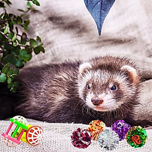 HAICHEN TEC 11 Pack Ferret Toys Set - Mylar Crinkle Balls Hollow Sound Toy with Bell Interactive Exercise Scratch Play Chasing Chewing Toys Random Color for Indoor Pet Ferret Cat Kittens (11 Pack)