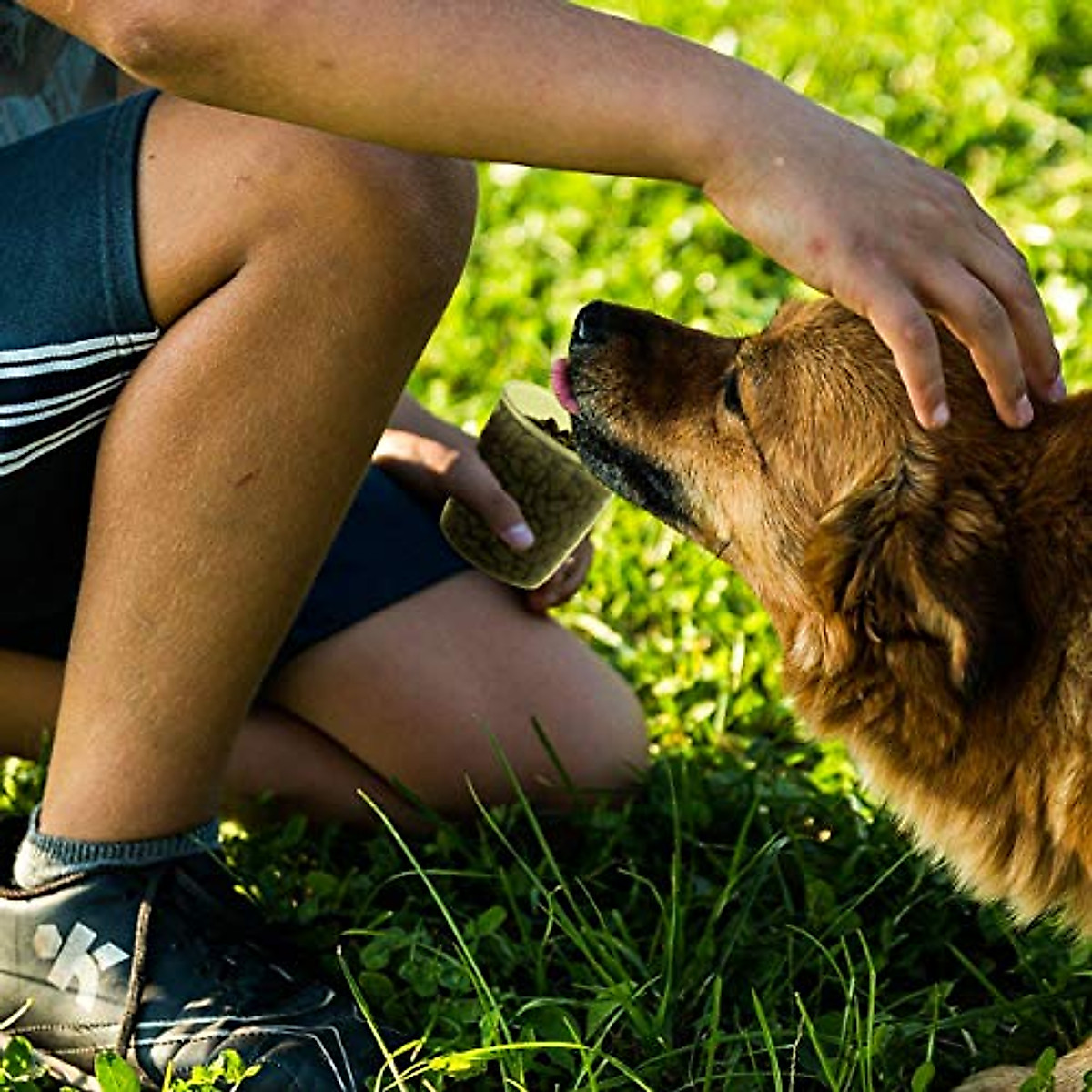 Citylife 2 PCS 2.5 LB Dog Food Containers Small Pet Cat Food Storage Container Pour Spout Measuring Cup Bird Dry Food Dispenser with Lid