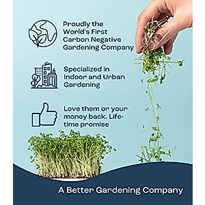 Window Shelf For Plants | EXTRA STURDY Loading-Bearing Brace with Powerful Suction Cup Shelf | Window Sill Extender For Plants | Herbs, Succulent, Indoor Plants, Acrylic Window Sill Extender