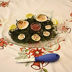 J&J Products, Inc. EZ-Clam Shucker, Clam Knife - Clam Shucking Knife - Clam Shucker - Clam Opener – Made from Recycled Ocean Bound Plastic