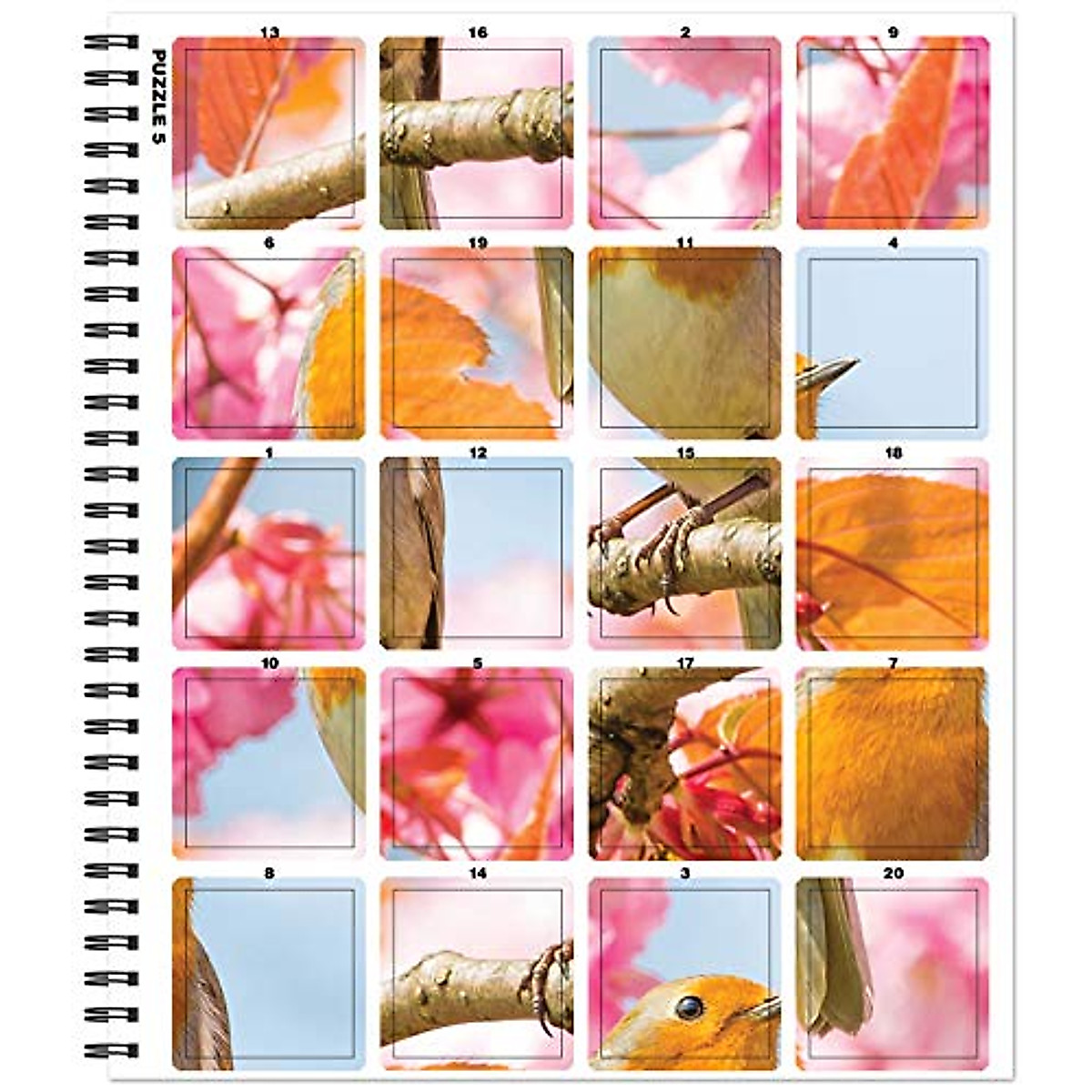 Brain Games - Sticker by Number: In the Garden (Easy - Square Stickers): Create Beautiful Art With Easy to Use Sticker Fun!