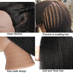 "N/A" Mannequin Head Human Hair 100% Real Hair Mannequin Head Doll Head for Hairdresser Practice Styling Cosmetology Manikin Head Hair with Free Clamp Stand (14 inch, D-L)