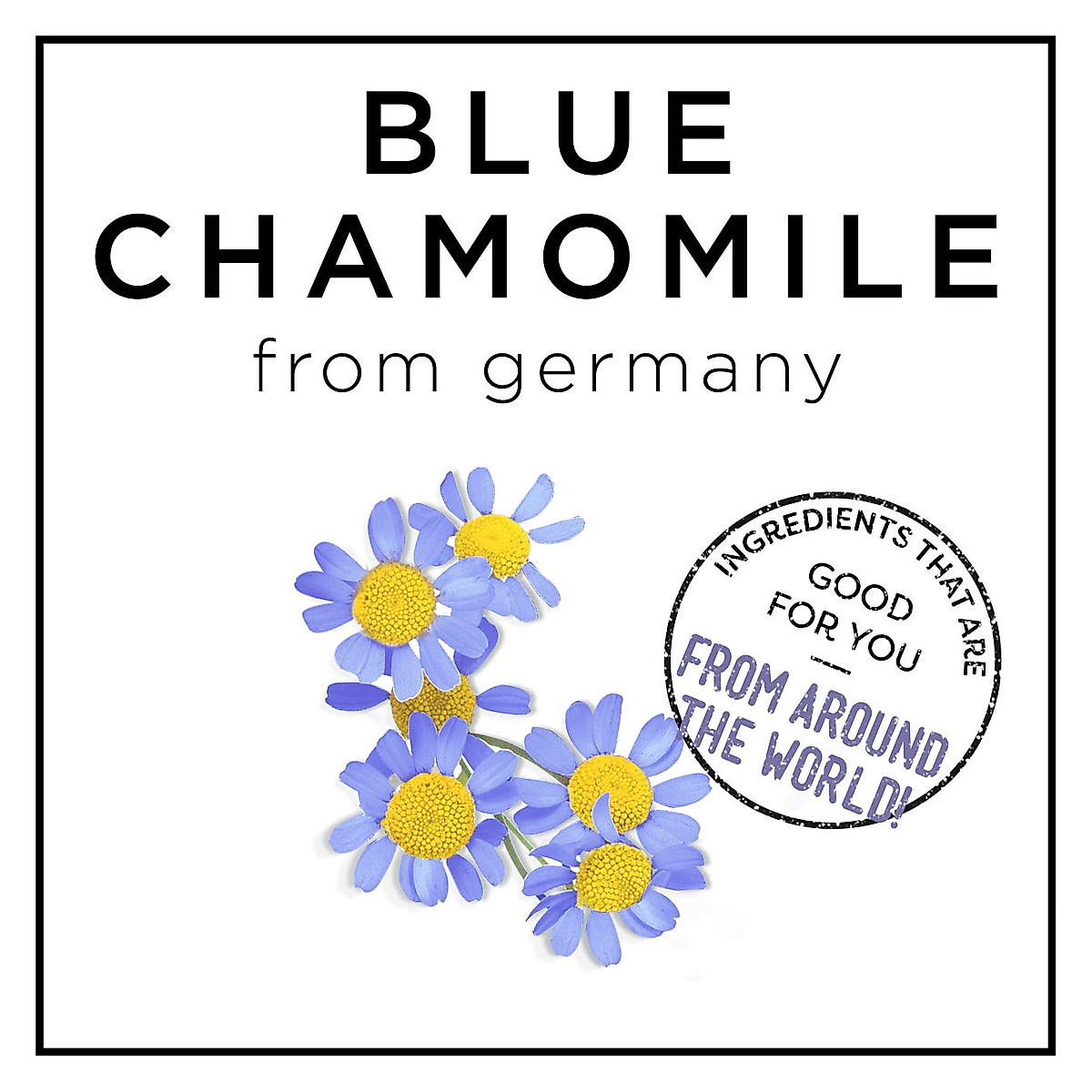 Hask Chamomile & Argan Oil Blonde Care Shampoo, 12 Ounce