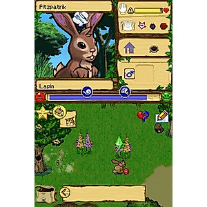 SimAnimals - Nintendo DS