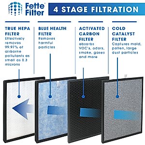 Fette Filter -HSP001 Filter Replacements for HATHASPACE Air Purifier HSP001, True HEPA Filter with Activated Carbon Pre-Filters. Includes 2 H13 True Hepa FIlters and 2 Activated Carbon Filters.